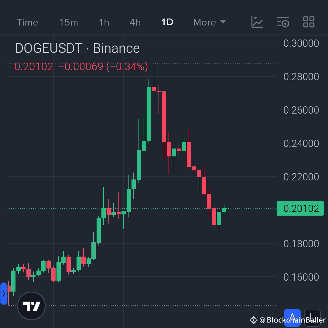 $DOGE Attempts Recovery Watch for Breakout Above $0.202 🧲🧲 ...