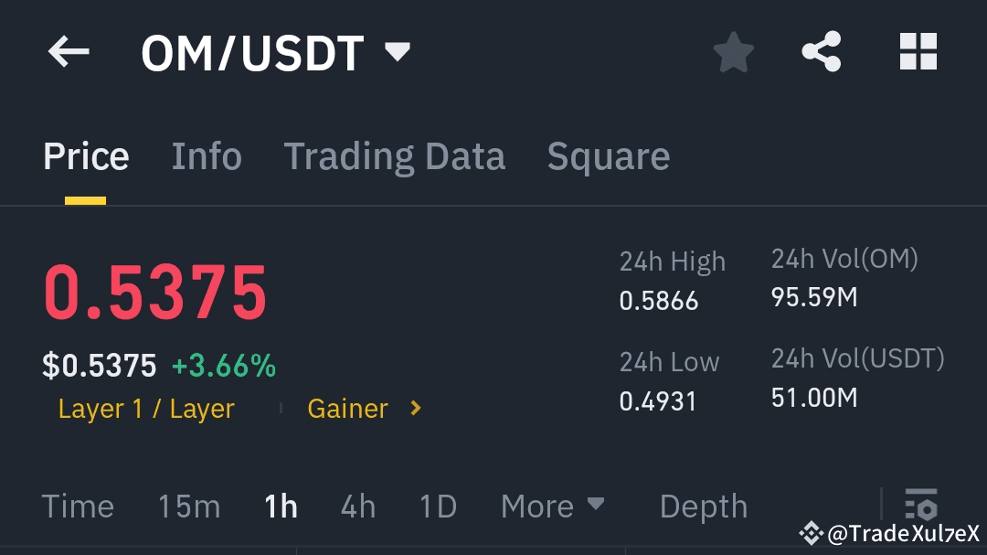 Is OM Coin the Next Big Crypto Move? Here's What Traders Need to Know ...