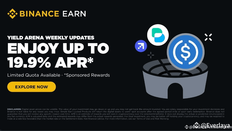 Let your crypto hustle while you relax. $BB $EURI $SOL | Everlaya on Binance Square