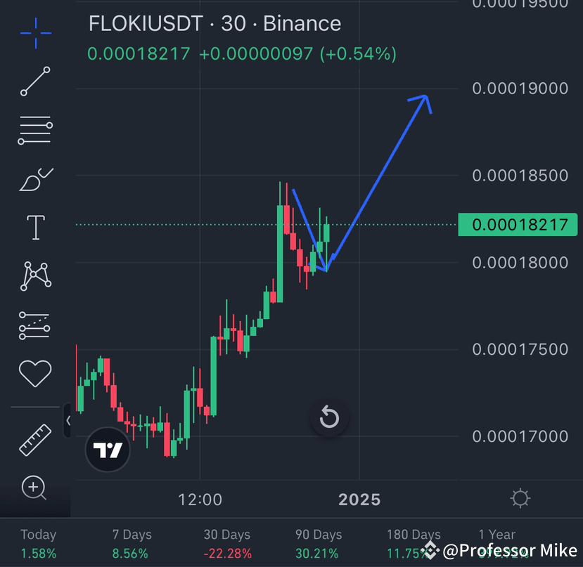 $FLOKI /USDT Bull Run Confirmed – Time to Enter! 🔥💯 The $ | Professor Mike on Binance Square
