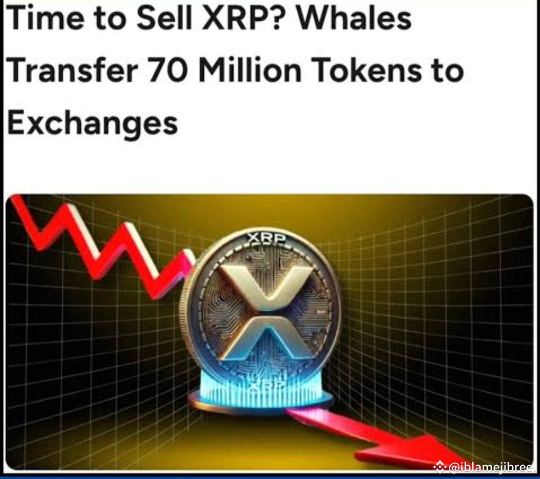 XRP whales dump 70 million tokens👀. Trade now👇 1st Februa | iblamejibreel on Binance Square