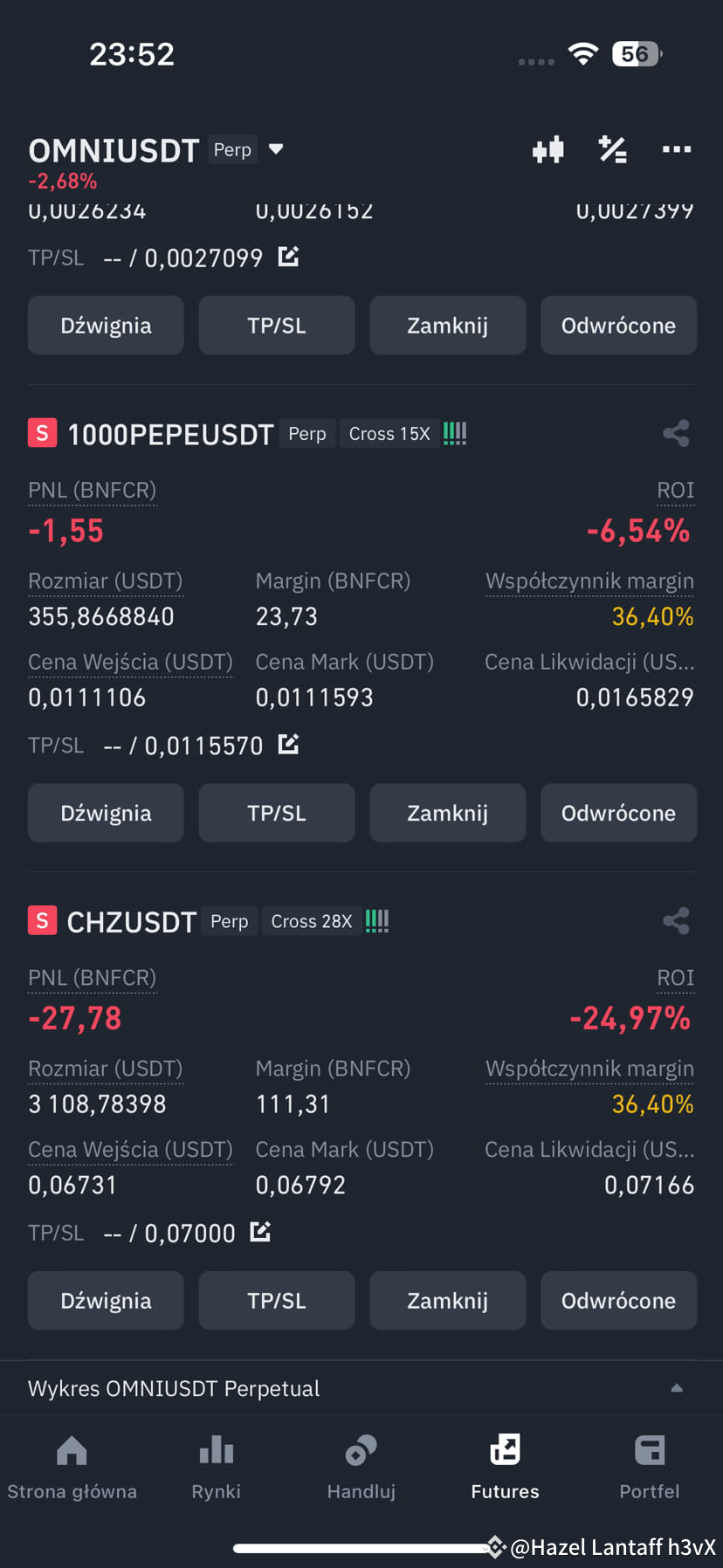 #Doge #pepe #CHZ What do you think to hold 🫤🫤 | Hazel Lantaff h3vX on ...