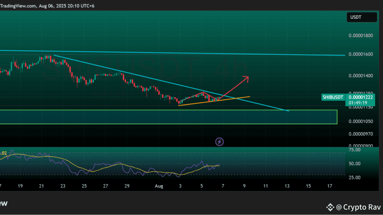SHIB WILL BE THE NEXT GAINER. | Cryptorav5 on Binance Square