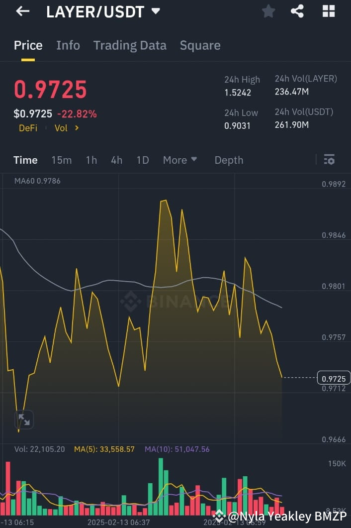 🚨 $LAYER /USDT Takes a Hit! Will It Rebound? 🔻 Current P | Nyla Yeakley BMZP on Binance Square