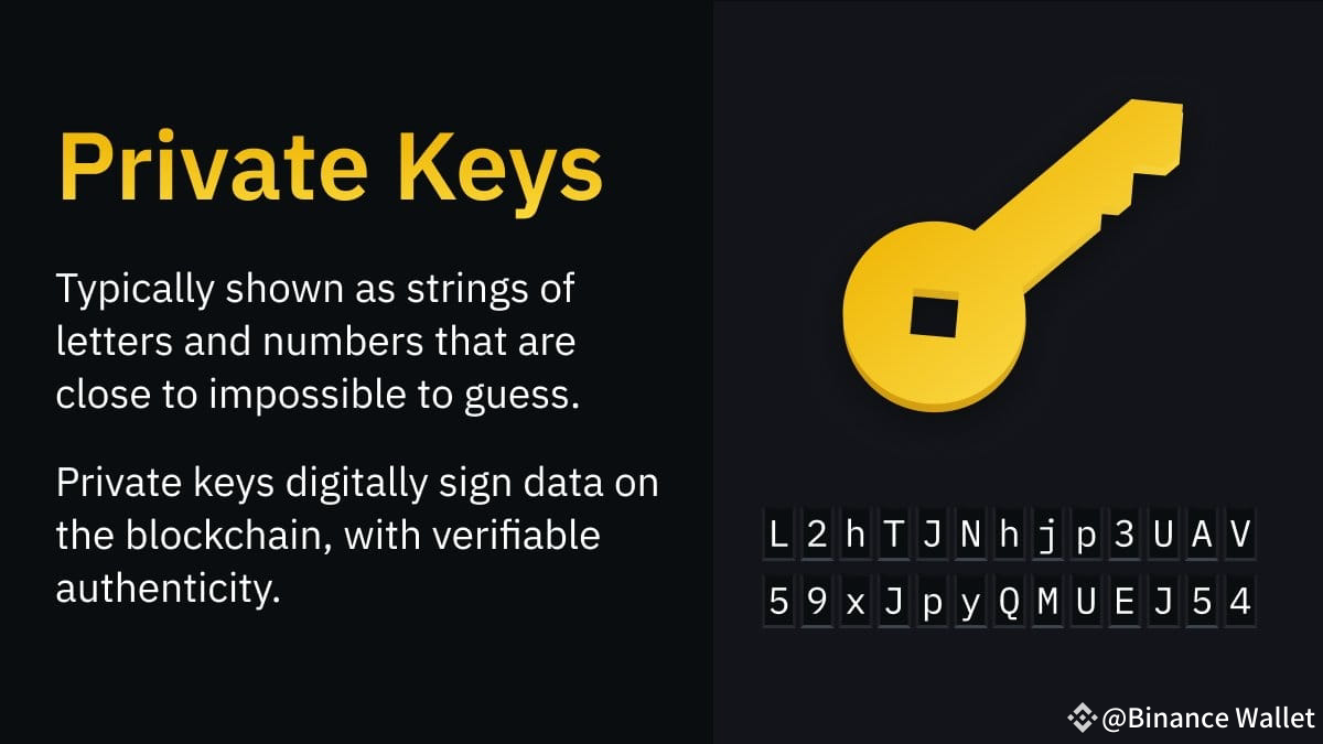 Your private key is your crypto BFF 🔐 | Binance Wallet on Binance Square