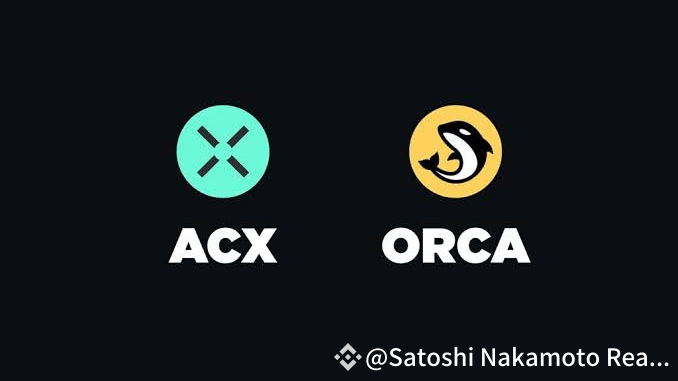 🚨 ACX and ORCA Tokens Skyrocket | Opportunity or Scam? 🚨 | Satoshi ...