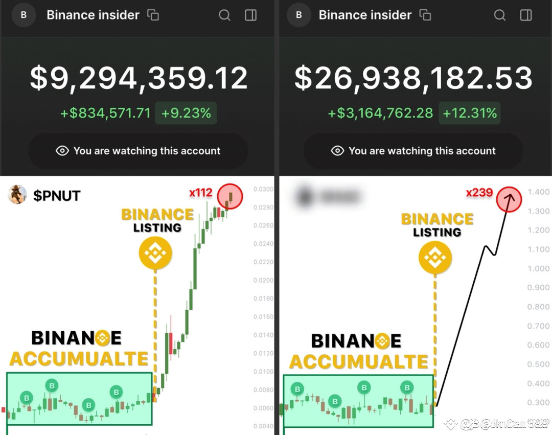 Whales Behind the $PNUT (421x) & $ACT (185x) Pumps HAVE BEEN SPOTTED | Black Cat 399 on Binance ...