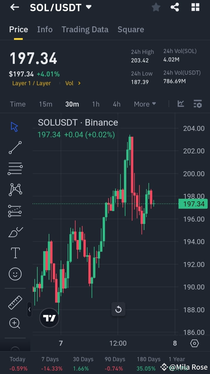 $SOL /USDT Bull Run Move 💫 💯 Ready For Recovery Update | Mila Rose on Binance Square