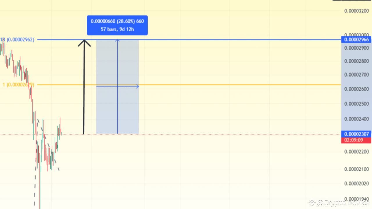 Shib Coin Signal | Crypto novice on Binance Square