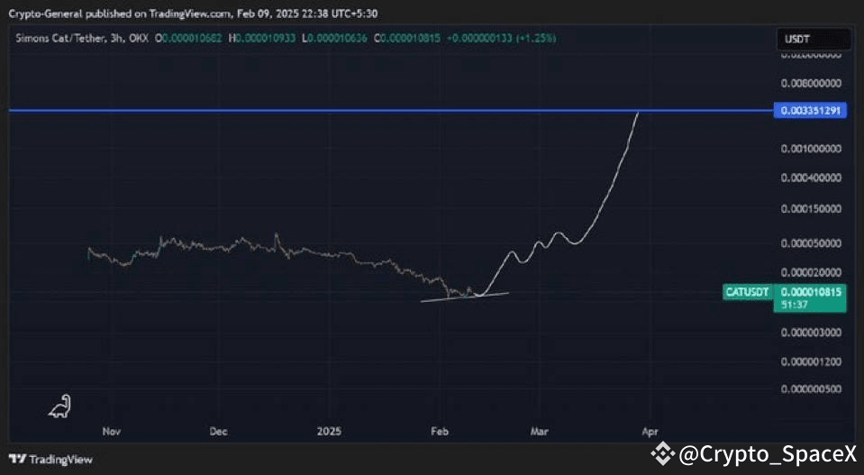 Why is everyone talking about $1000CAT? Meme coins need atte | Crypto ...