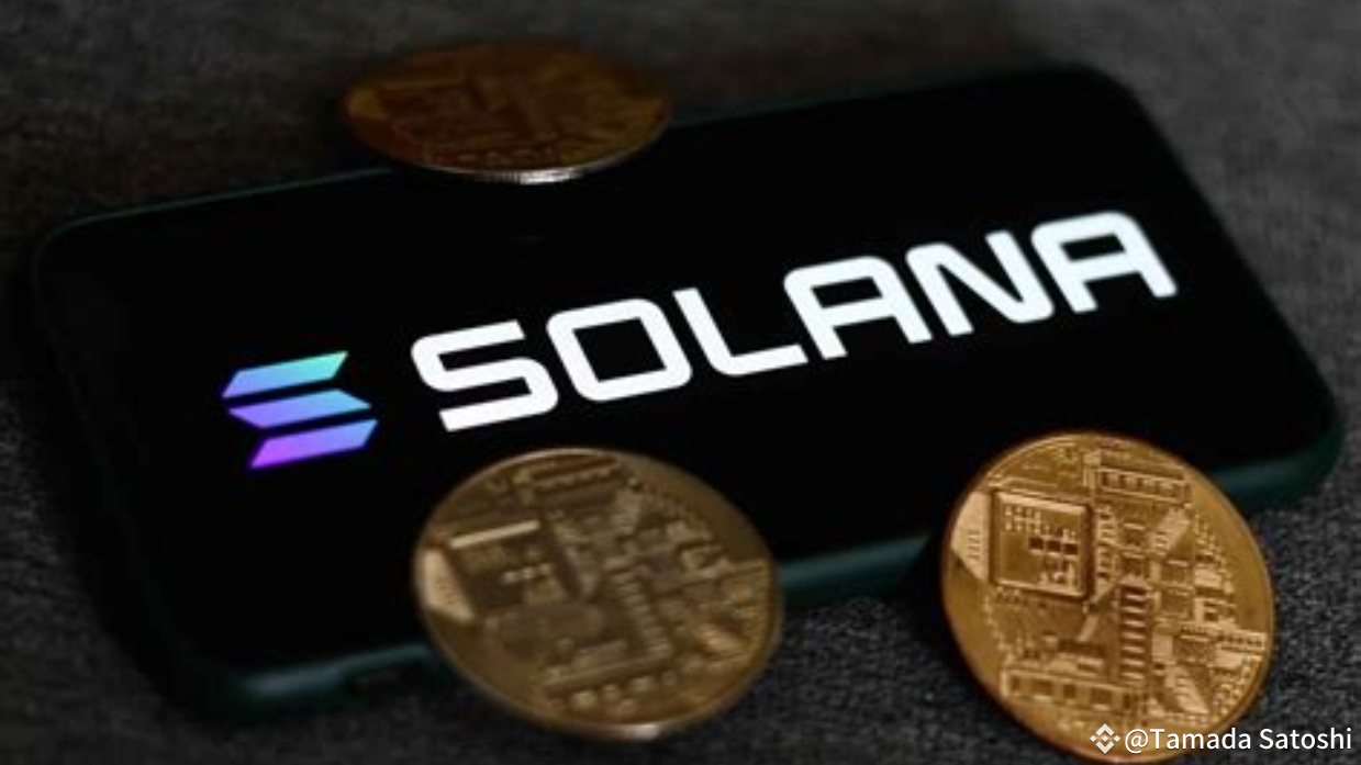 Solana (SOL)’s Spectacular Rise: Analysis and Future Predictions ...