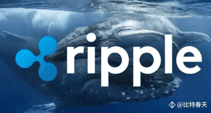 🚨Ripple Whale Shocks: 167 Million XRP Transferred Amid Mark | 峰哥小助理 on Binance Square
