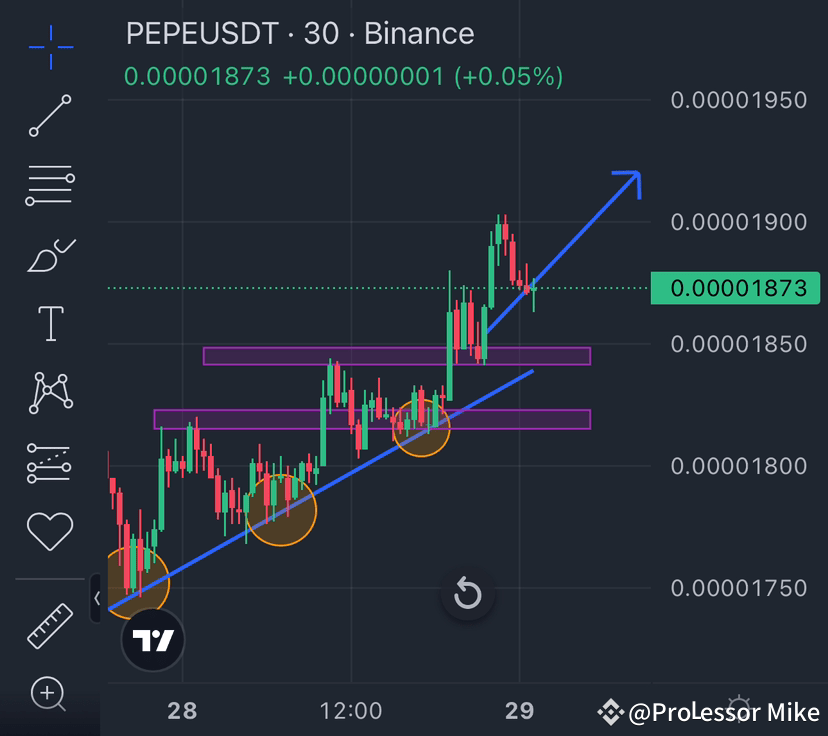 All targets achieved guys in $PEPE !Again bull run confirmed | Professor Mike on Binance Square