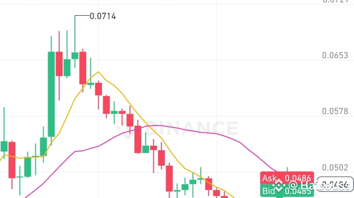 Abu Dhabi investment fund MGX injected $2 billion into the currency ...