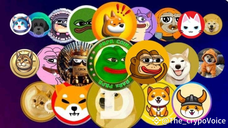 Risks of Meme Coins :(With Examples) Meme coins are popular | The ...