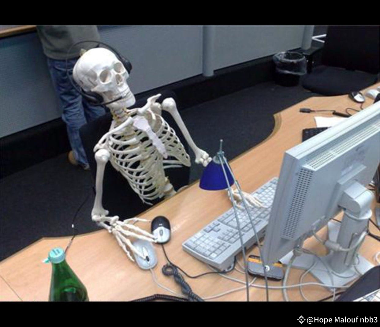 Waking up to $Trump Coin crushing after investing with all y | Isabella ...