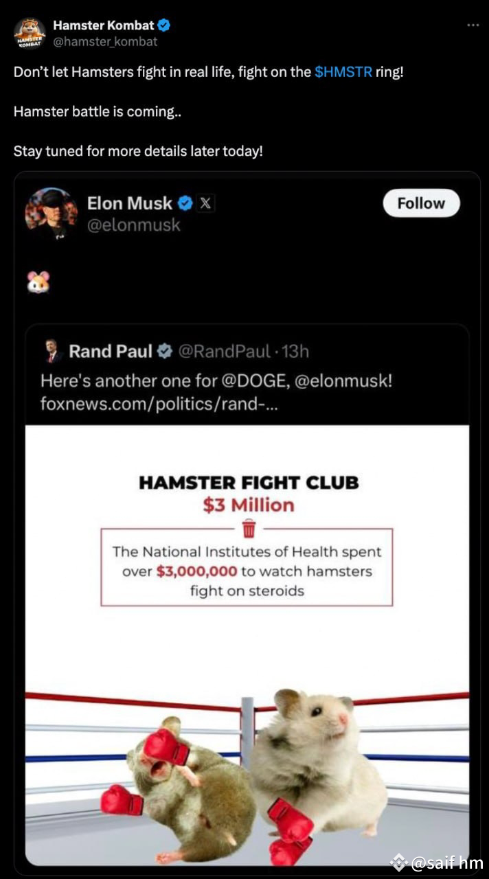 #hmstr Entonces la gente viene y dice que el hámster es una | saif hm ...