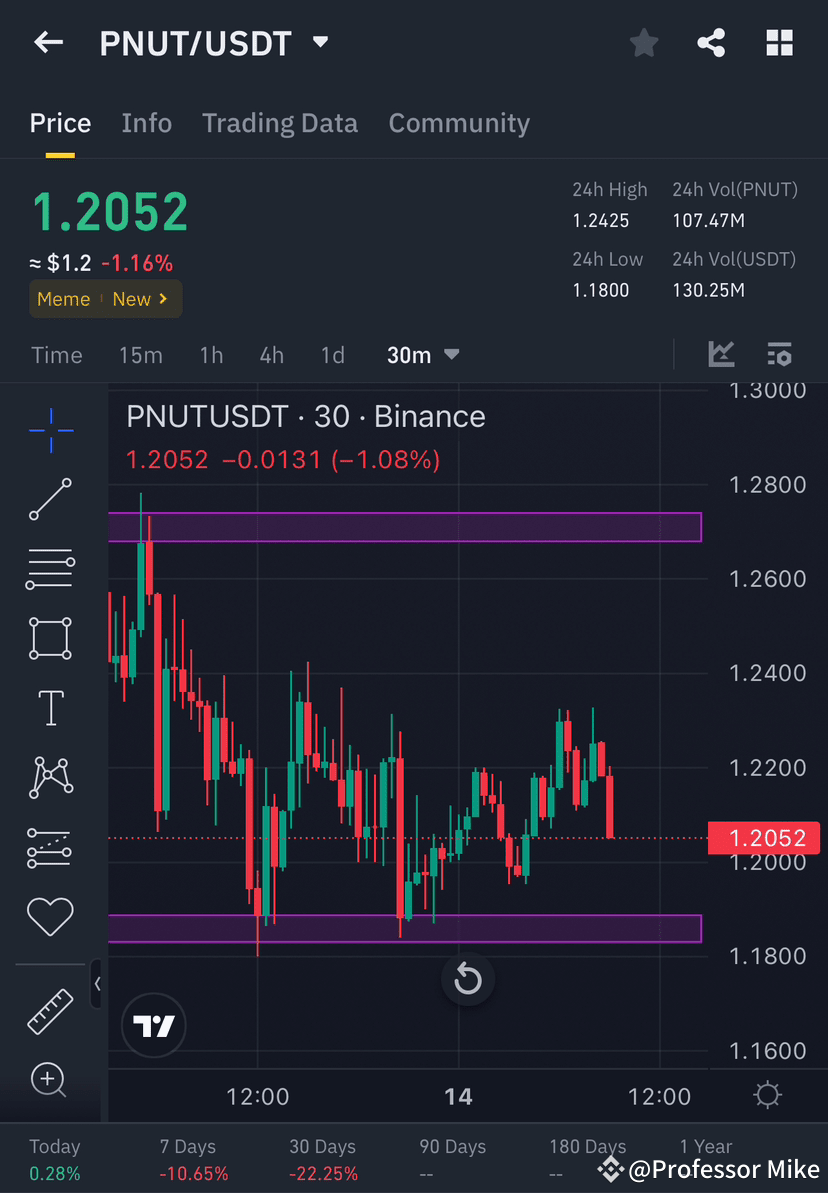 $PNUT /USDT ANALYSIS: Prepare for Key Moves! 🚨 $PNUT/USDT | Professor Mike on Binance Square