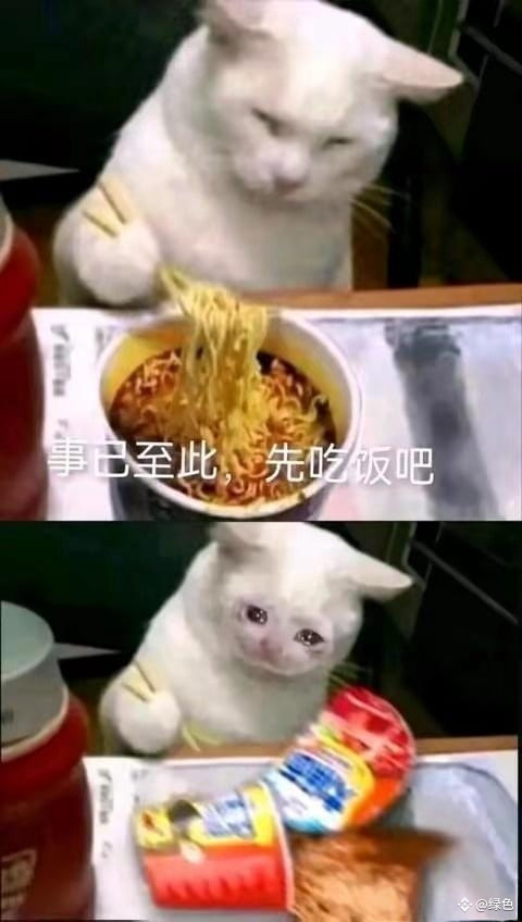 $SOL $DOGS I don't want to open my eyes, I hope it's my hal | 大碗宽面 on ...