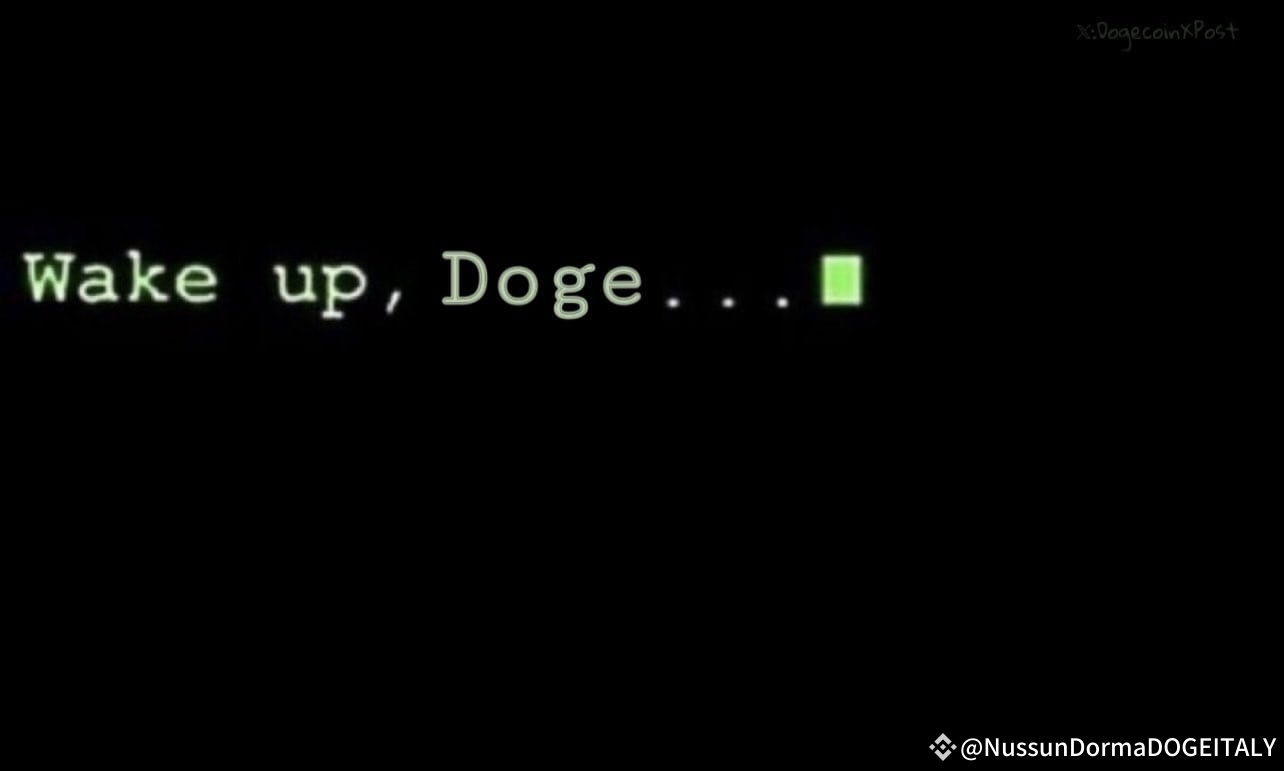 Wake up, $DOGE 🚀🚀🚀 | CryptoItalia on Binance Square
