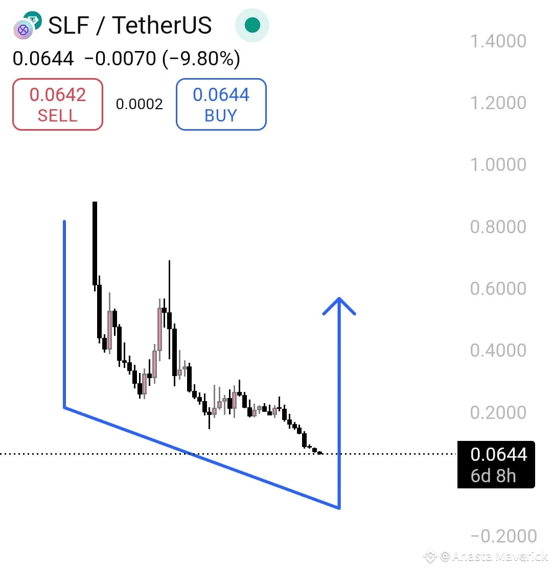 $SLF Big reversal is coming | Anasta Maverick on Binance Square