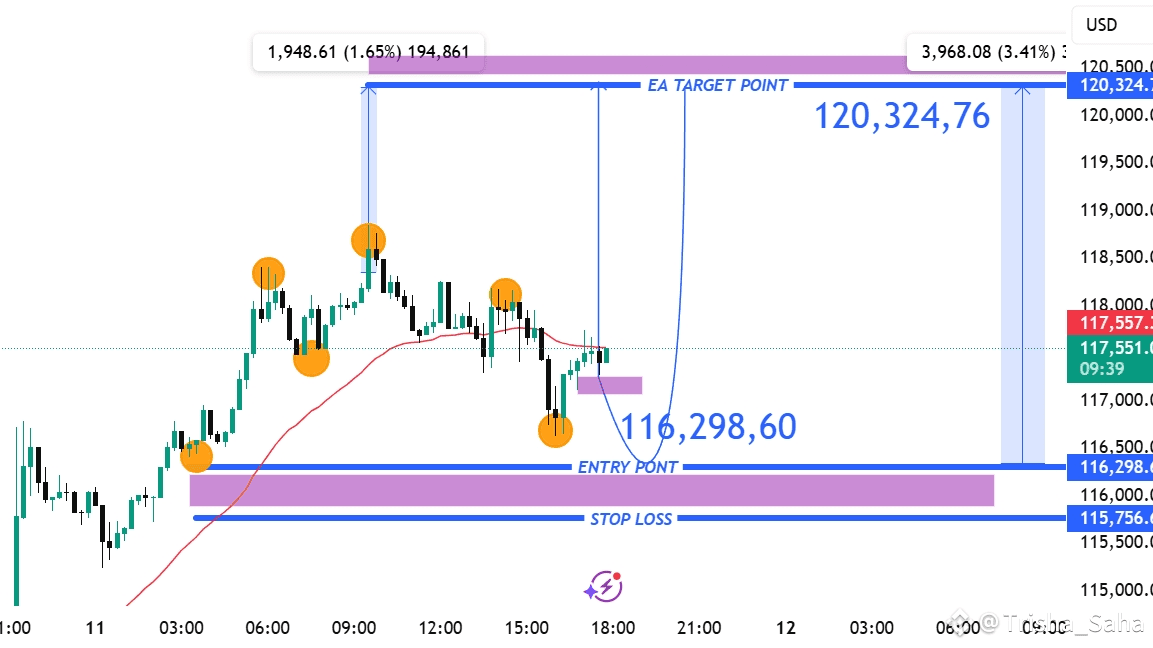 BTC/USD 15-Minute Long Setup: Bullish Reversal Targeting 120,324 | Trisha_Saha on Binance Square