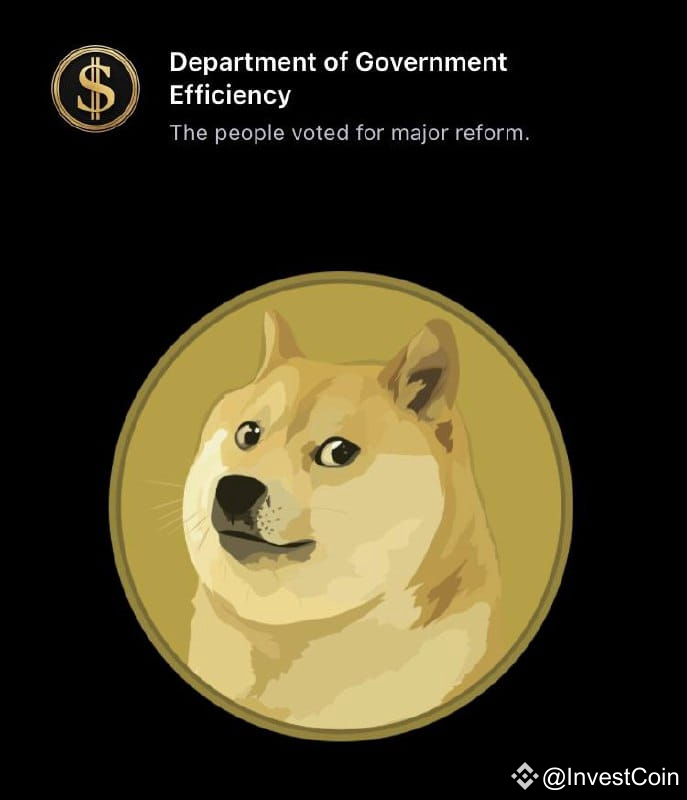 👍 The US Department of Government Efficiency (DOGE) "websit ...
