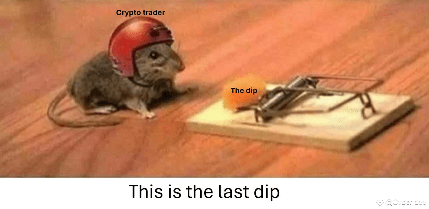 The last dip guys 🫠🫠🤣🤣😂🤣 | Cyber dog on Binance Square