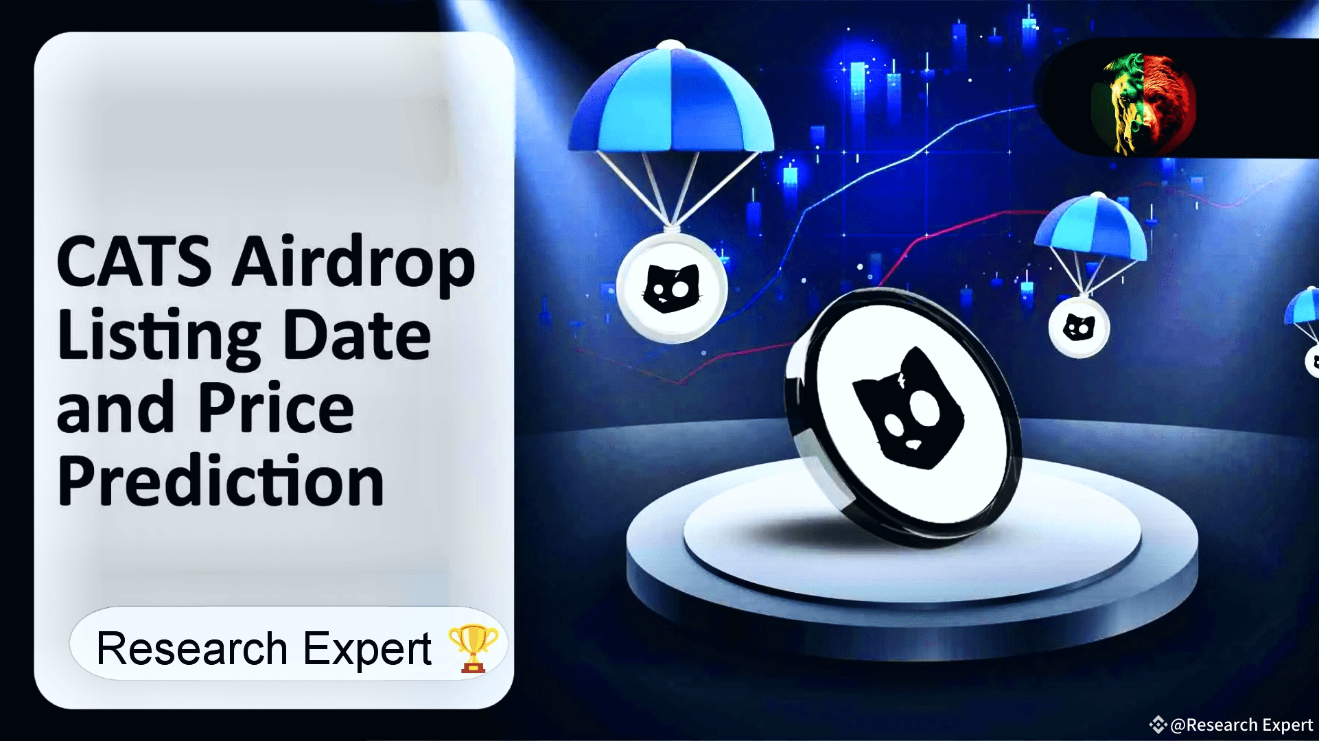 🐱 CATS Token: Launch Date, Price Predictions, and Airdrop Info! 🚀 ...