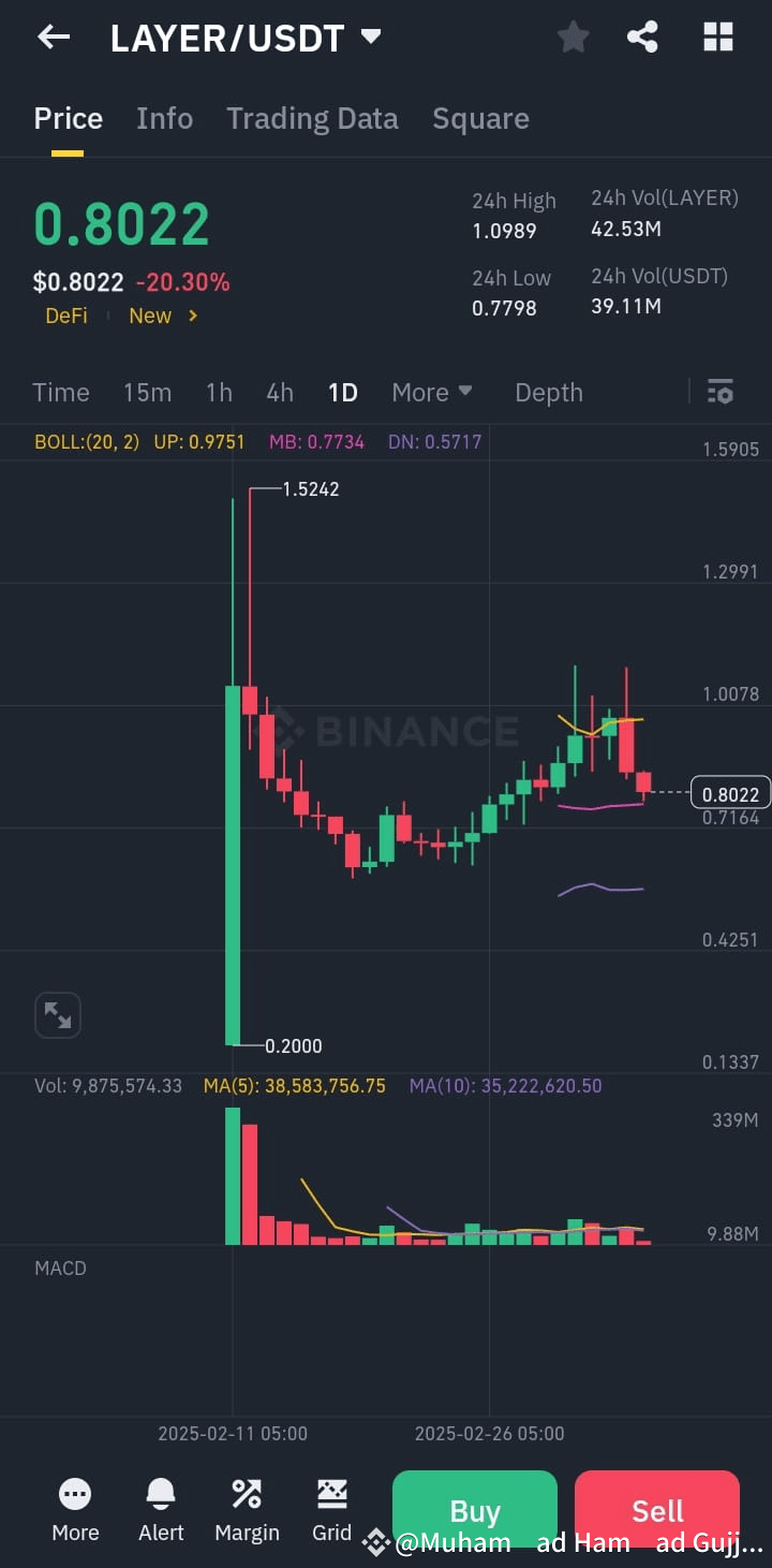Ladies and gentlemen, Buy #layer Coin and very good profit . | Muhammad ...