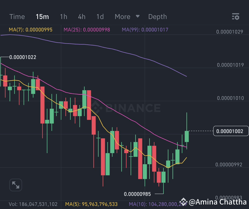$PEPE is showing signs of recovery, currently trading at 0.0 | Amina Chattha on Binance Square