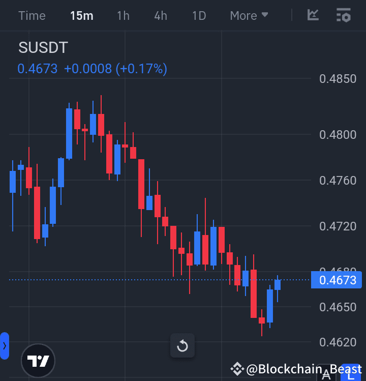 $S USDT – Early Reversal Signs Brewing! Current Price: $0.46 | Aliza_Crypto_786 on Binance Square