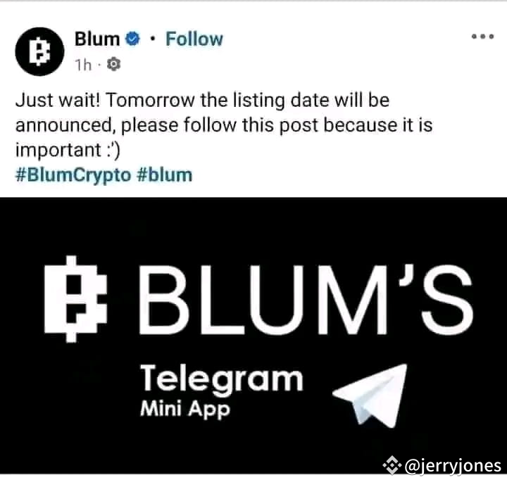 Blum Airdrop Overview and How to Maximize Your Benefits 🚀 | jerryjones ...