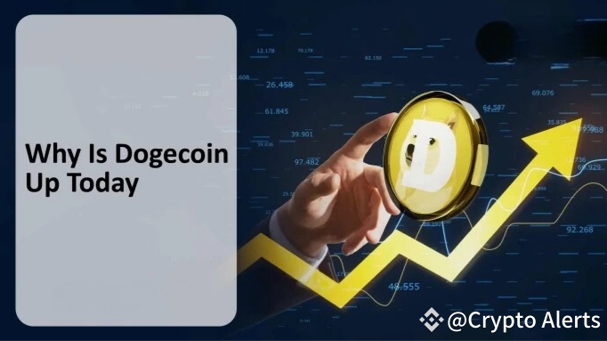 🚀 Why Dogecoin (DOGE) Is Going Up: Musk’s Role in Trump’s DOGE ...