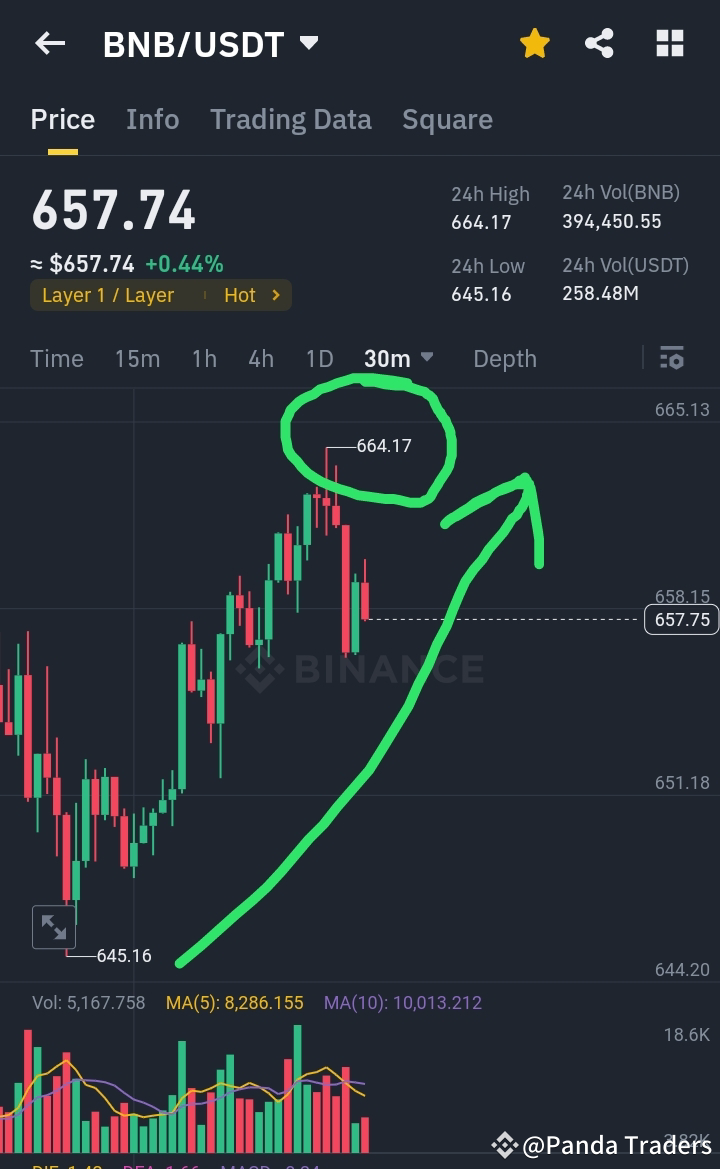 $BNB is running in greatttt profit 💪💰💰💰 Who took this t | Panda Traders on Binance Square