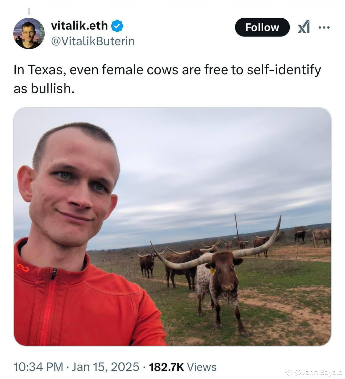 🪙 Vitalik’s Bullish Vibes Spark a Wild $ETH Bull Run!🚨🚨 | Jann Bayala ...