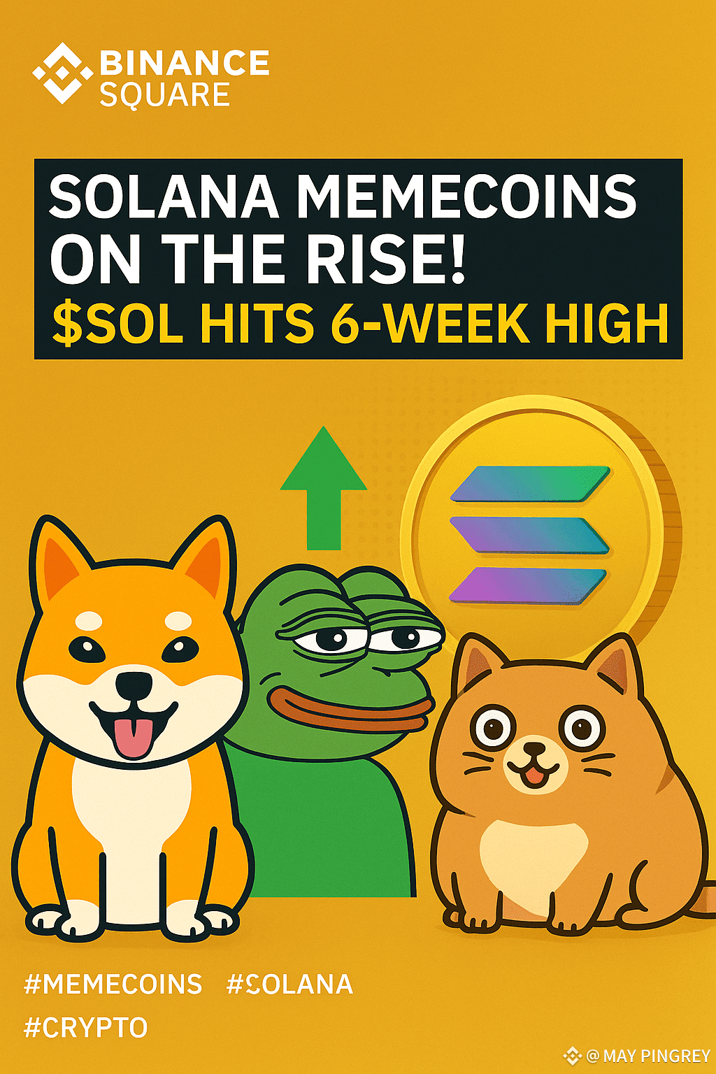 Today meme to lookout 🚀 🚀$SOL $DOGE $XRP DOGS PEPE #FOM | MAY PINGREY ...