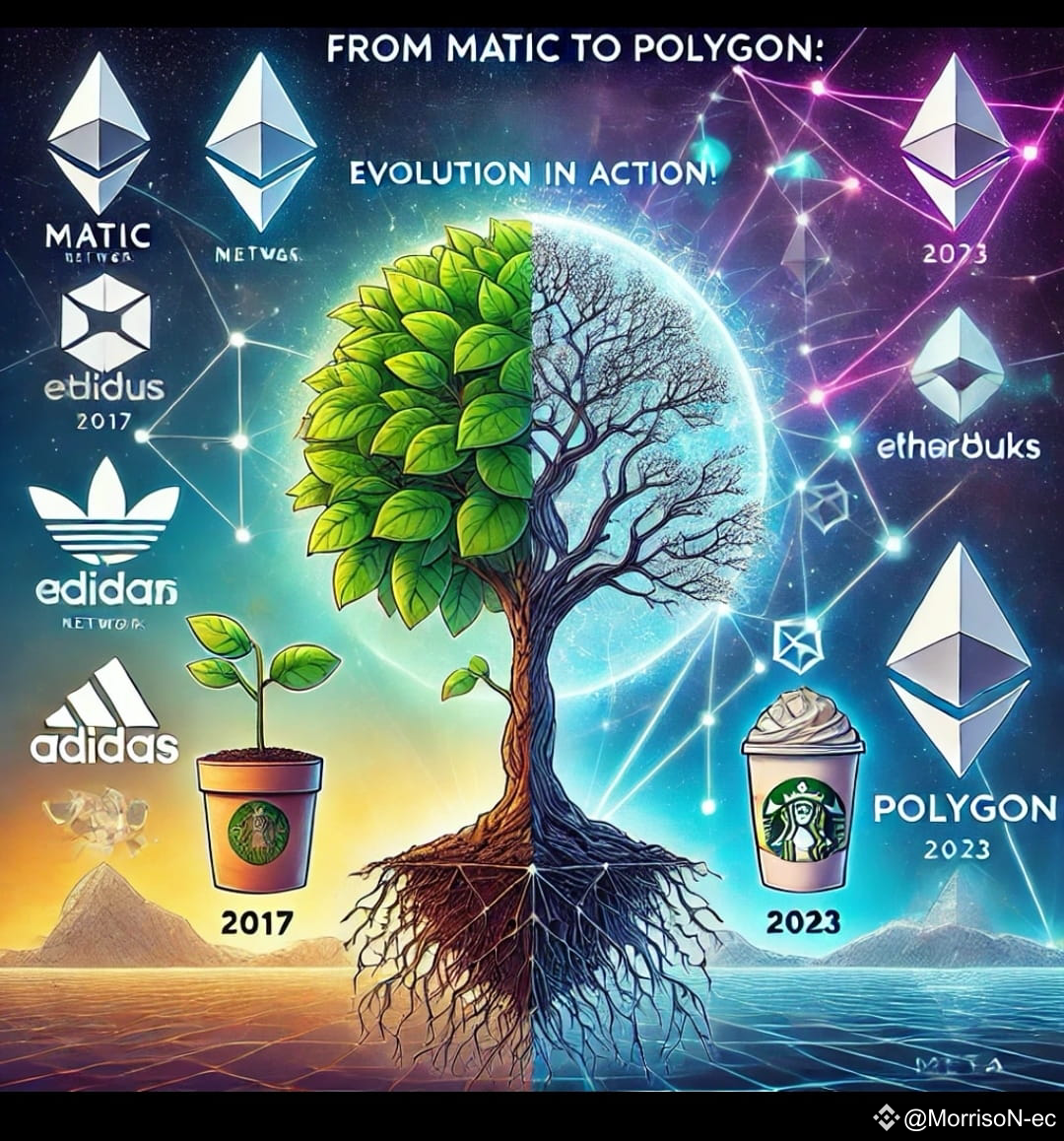 From Matic to Polygon: An Evolution 🚀💡 Launched in 2017 a | MorrisoN ...