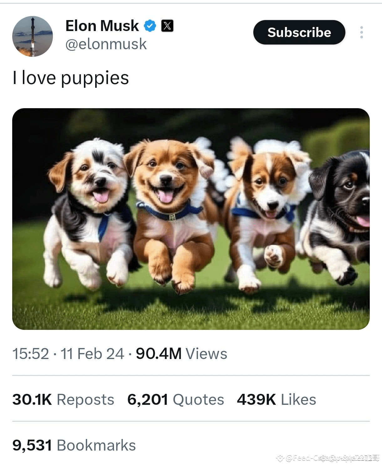 $UTK sk little golden dog, Binance wallet BNB chain puppies | Feed ...