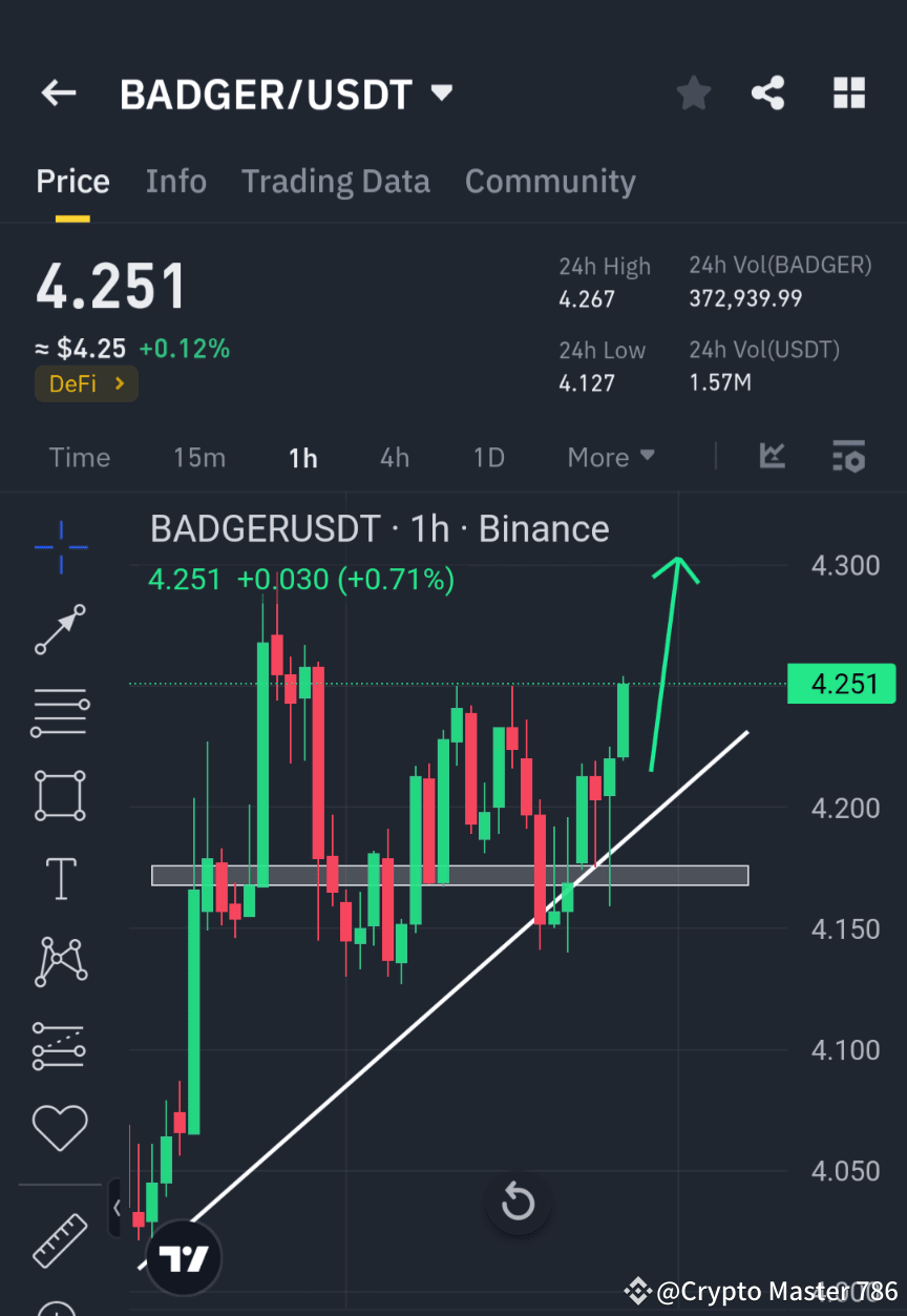 🚀🔥 $BADGER /USDT: BULLISH BREAKOUT ALERT - BULLS ON THE MO | Crypto Master 786 on Binance Square