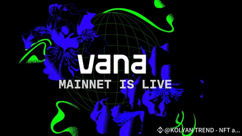🟣 There you can check your wallets for the VANA token airdr | KOLYAN ...