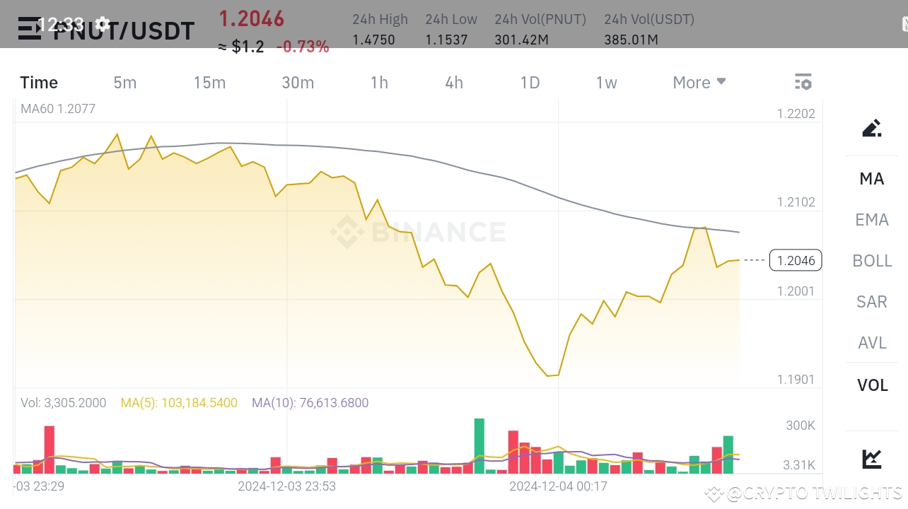 PNUT/USDT COIN ANALYSIS ON CURRENT SITUATION 🔥🔥 DUMP 👇 | CRYPTO TWILIGHTS on Binance Square