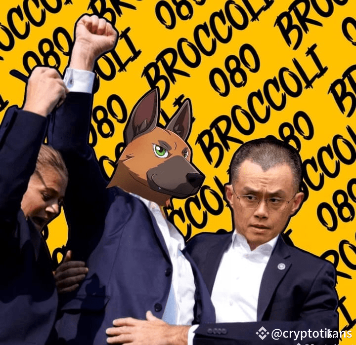 CZ Dog has inspired a wave of#Broccoliprojects🐶👀 But @CZDo ...