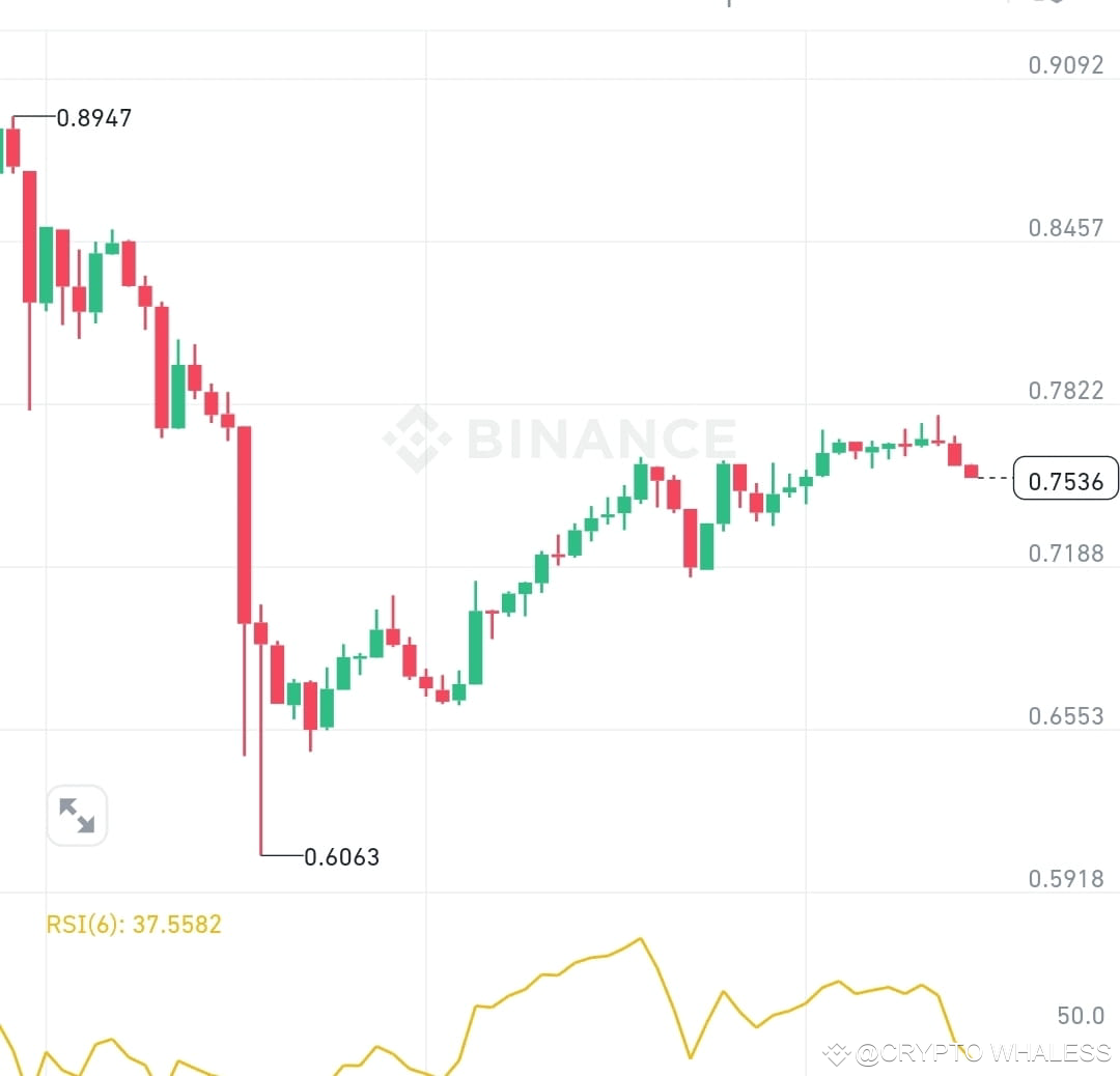 $SAGA /USDT Analysis: Potential Recovery or Further Decline? | CRYPTO WHALESS on Binance Square