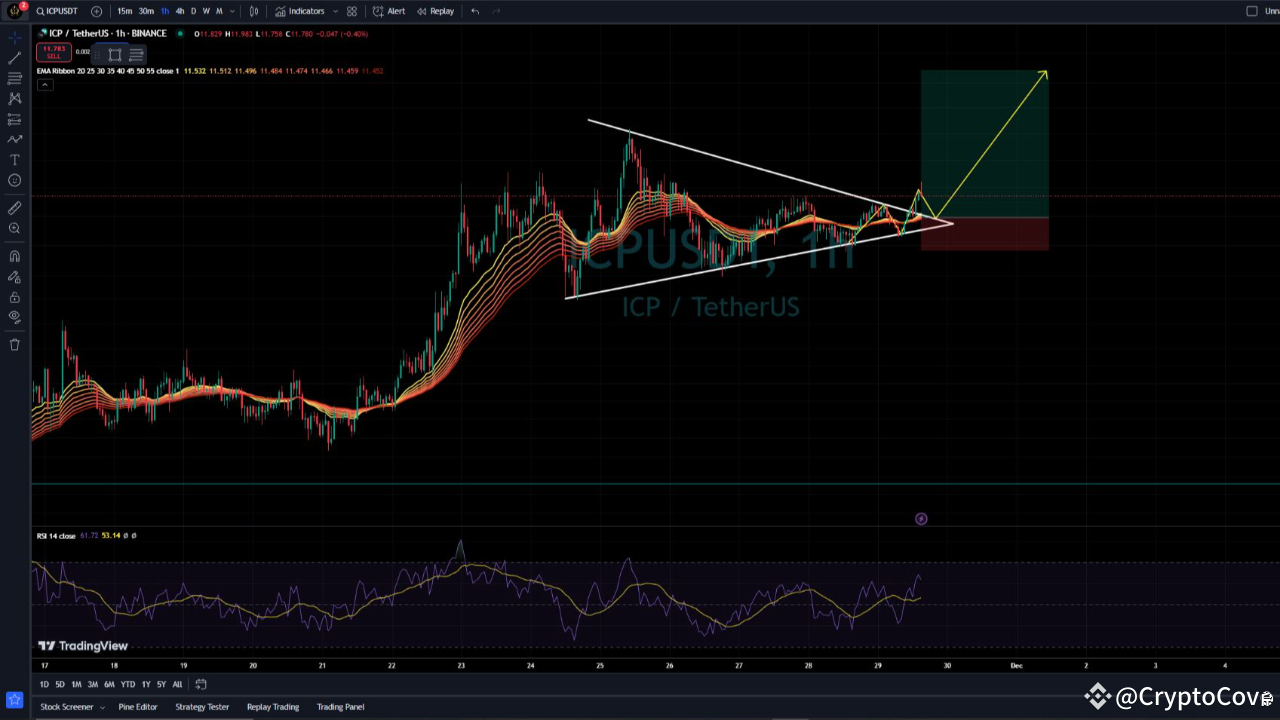 ICP Coin Analysis | CryptoCove on Binance Square