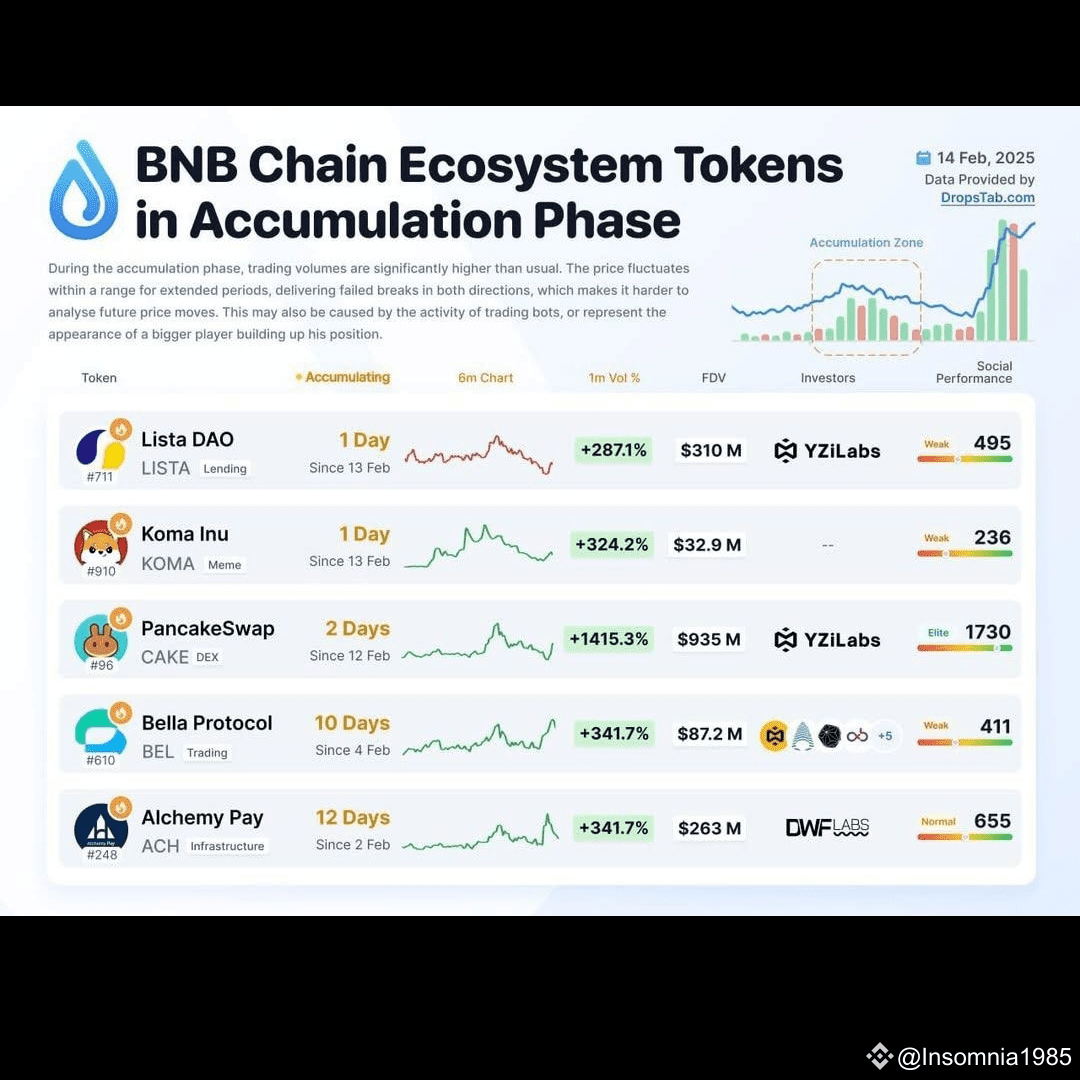 Tokens from the #BNB Chain ecosystem, which are currently in | Insomnia1985 on Binance Square