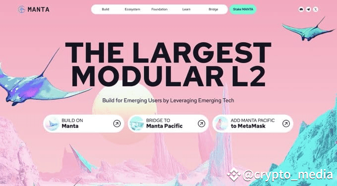 Manta Network's New & Revamped Website Is A Comprehensive H | crypto ...