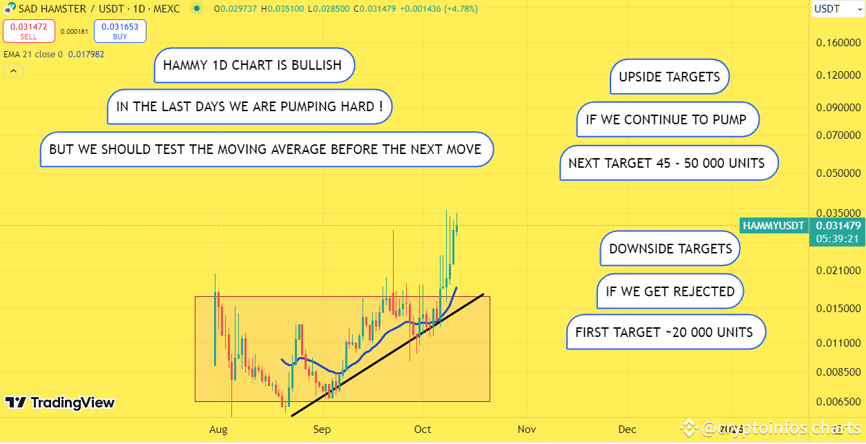 BULLISH 🟩#HAMMY#HAMMYUSDT 1D HAMMY IS A BEAST ! CLICK | cryptoinfos ...