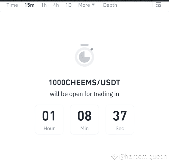 🚀 Could 1000CHEEMS & $TST Be the Next Major Breakthrough | hareem queen ...