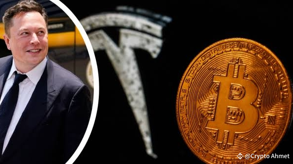 😱🔥The value of Tesla's Bitcoins, which rose with Elon Musk, exceeded ...
